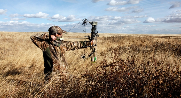 Getting into Archery: When to Draw - Default