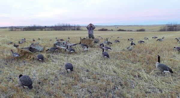 Waterfowling 101 - Default
