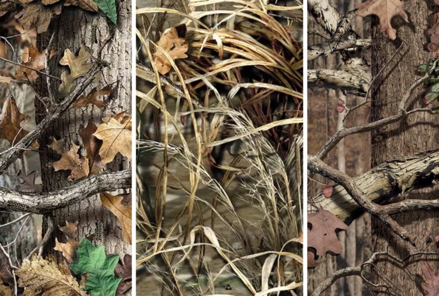 Understanding Camouflage - Default