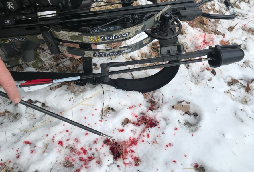 Blood Trail Mistakes - Default